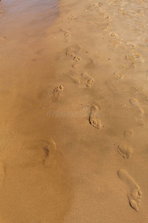 Vertical Shot of the Footsteps on the Sand of the Beach Stock Image ...