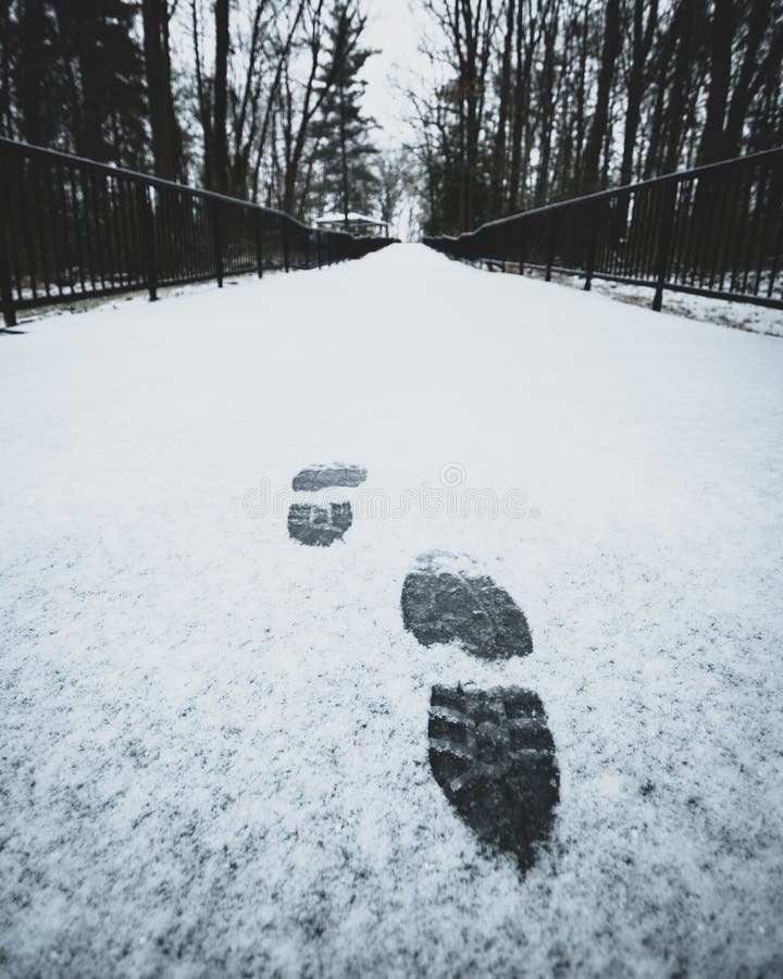 Vertical Shot of Footsteps on the Snow on a Path Surrounded Stock Image ...