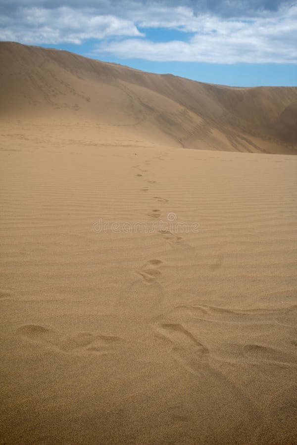 Vertical Shot of Footsteps is Visible on the Surface of the Desert Sand ...