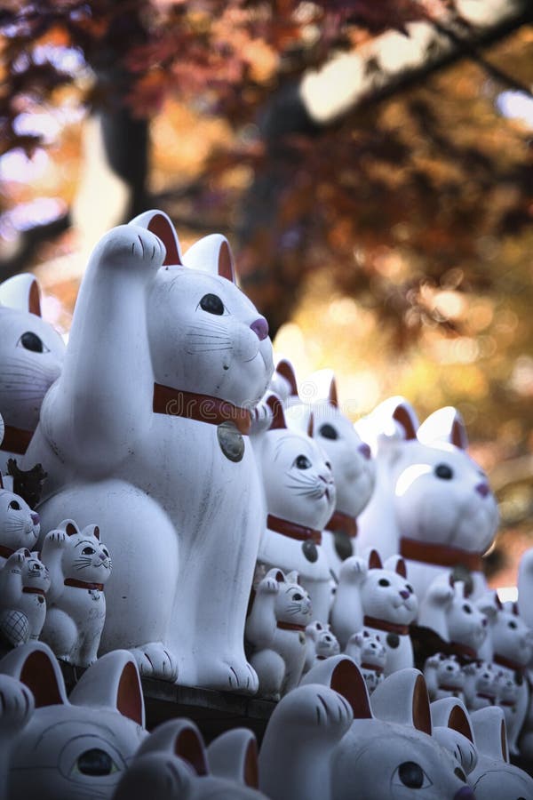 Vertical Shot of Fortune Cats (Maneki Neko) in a Temple in Japan Stock ...