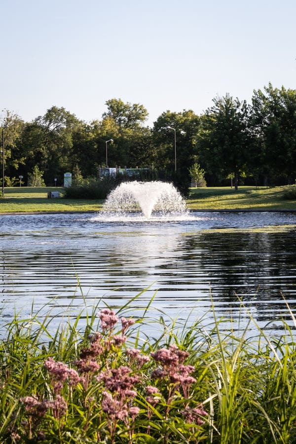 Vertical Shot of a Fountain in a Lake Surrounded by Trees in a Park ...