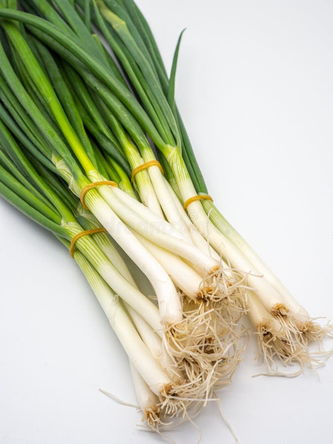 Vertical Shot of Fresh Welsh Onions on a Gray Surface Under the Lights ...