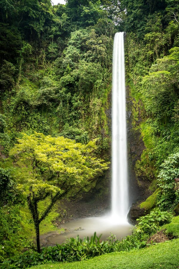 Vertical Shot of the Fuipisia Waterfall in a Forest in Samoa Stock ...