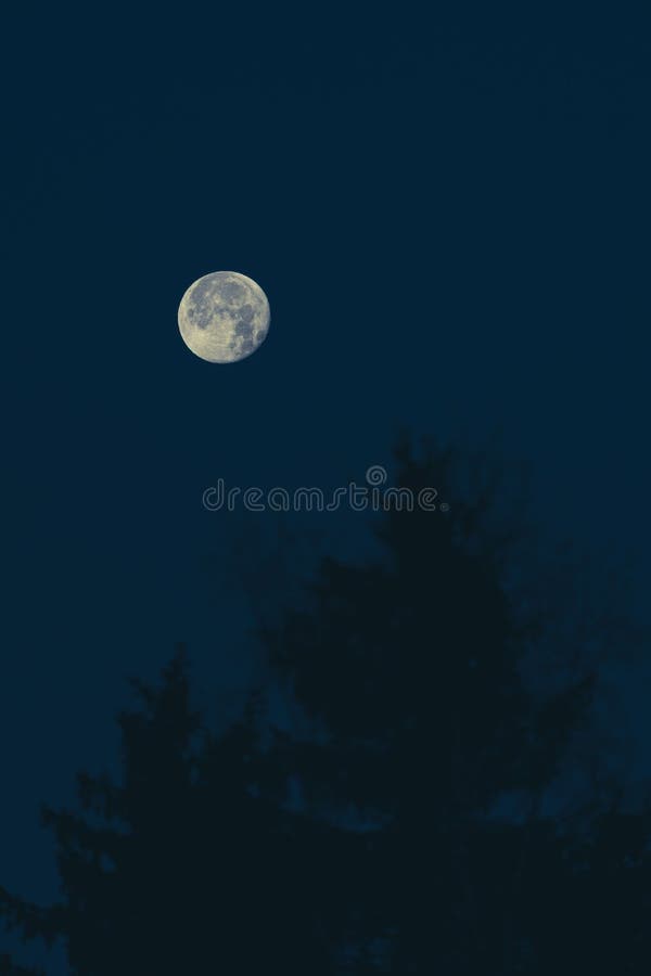 Vertical Shot of the Full Moon Above the Forest Stock Photo - Image of ...