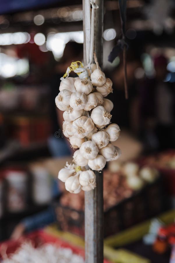 Garlic bundle stock image. Image of gourmet, vegetable - 10602701