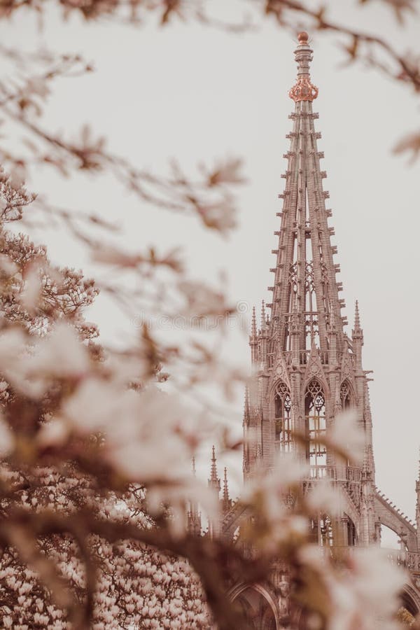 Vertical Shot of a Gothic Architecture with Cherry Blossoms Foreground ...