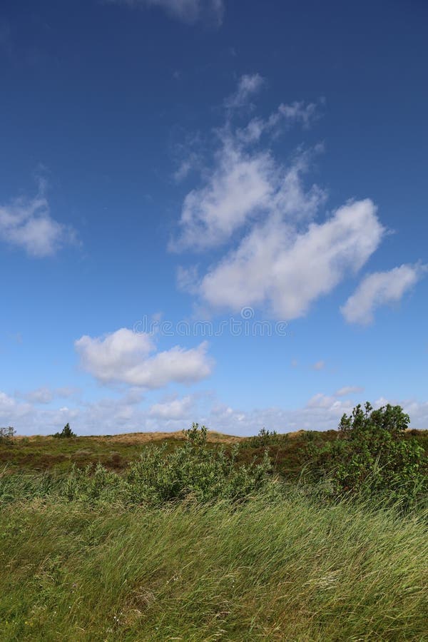 Vertical Shot of Grassland and Hills Stock Photo - Image of landscapes ...