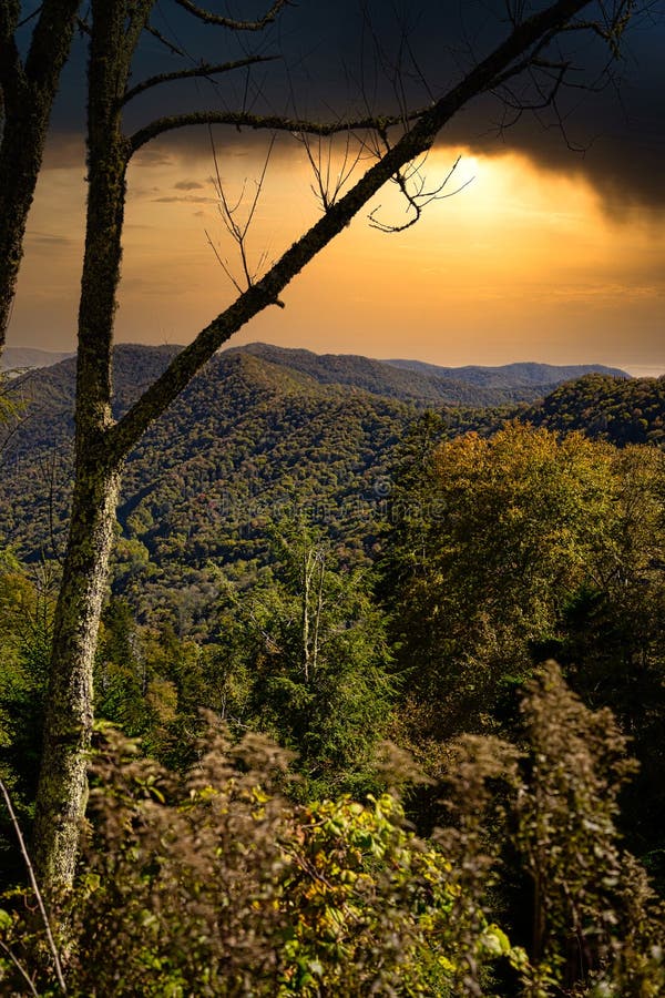 Vertical Shot of a Great View from the Top Point of a Cliff, Trees and ...
