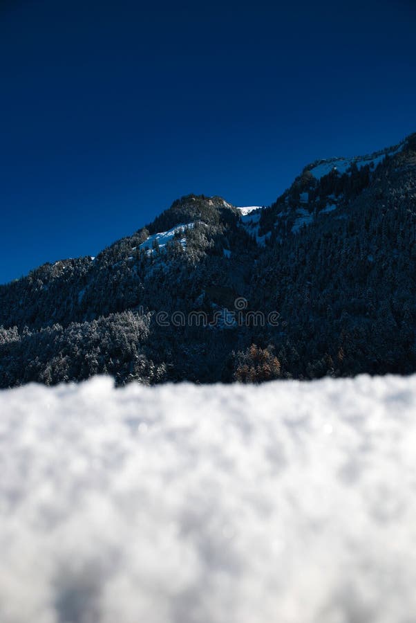 Vertical Shot of a Green-covered Hill Seen Behind Snow on the Ground ...