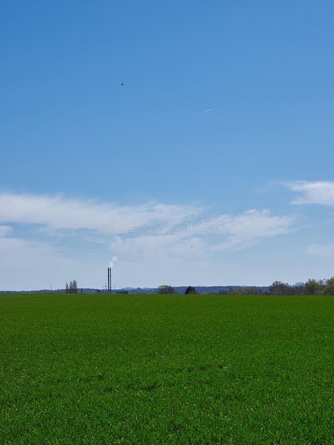 Vertical Shot of Green Grass Field Under Blue Sky Stock Image - Image ...