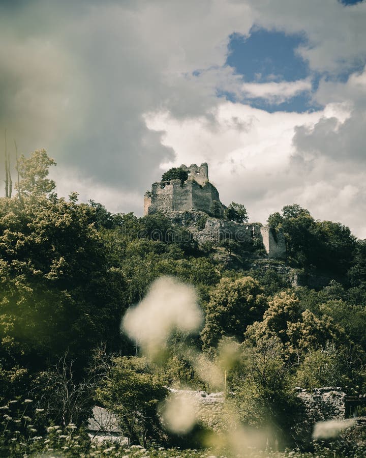 Vertical Shot of Green Mountain Forest Under Cloudy Sky Stock Photo ...