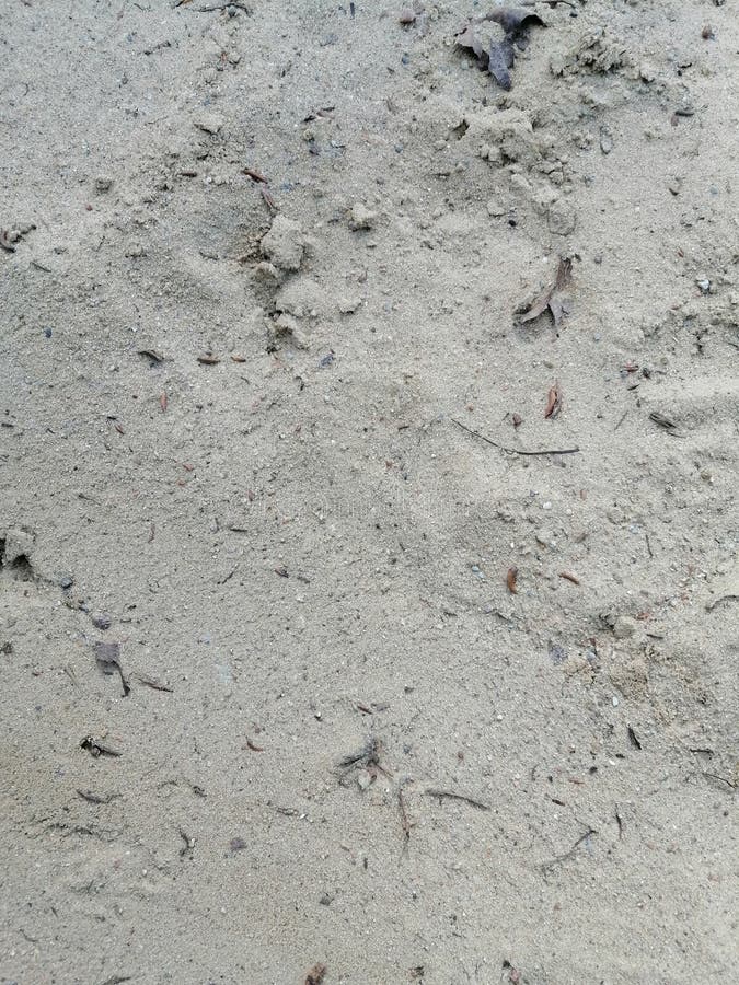 Vertical Shot of the Grey Sand Texture at the Beach Stock Photo - Image ...