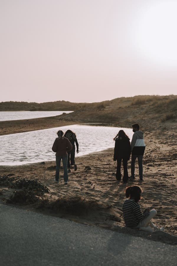 Vertical Shot of a Group of People Walking at the Beach Stock Image ...