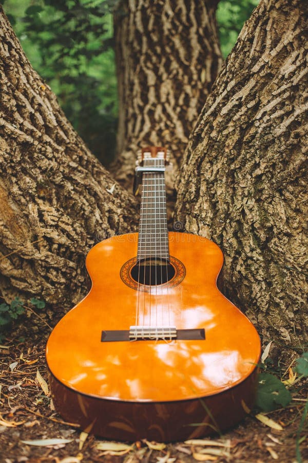Vertical Shot of a Guitar Leaning on the Trunk of a Tree in the Middle ...