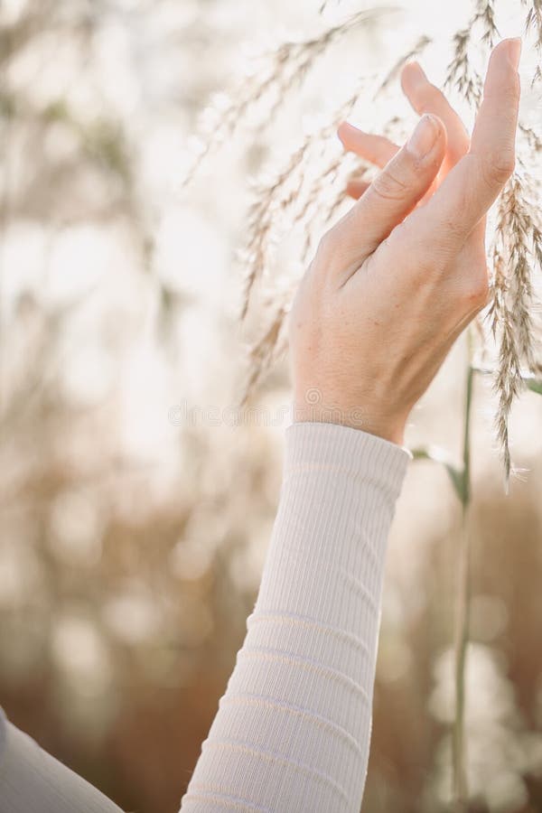 Vertical Shot of a Hand Gently Touching a Tree Branch and Enjoying the ...