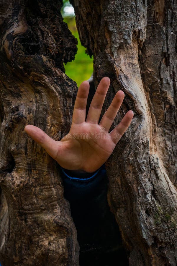 A hand stuck to a glass stock image. Image of danger - 132886127