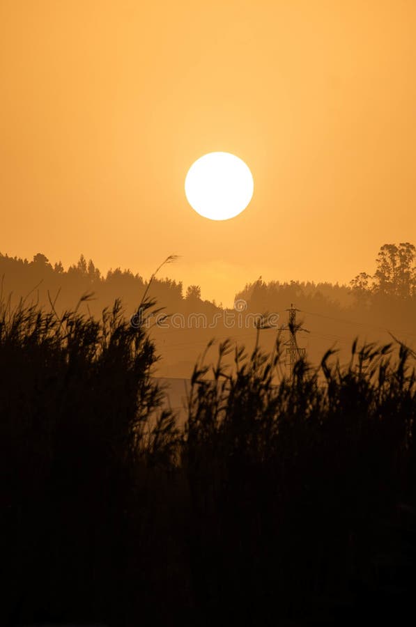 Vertical Shot of a Hayfield during a Beautiful Sunset - Perfect for ...