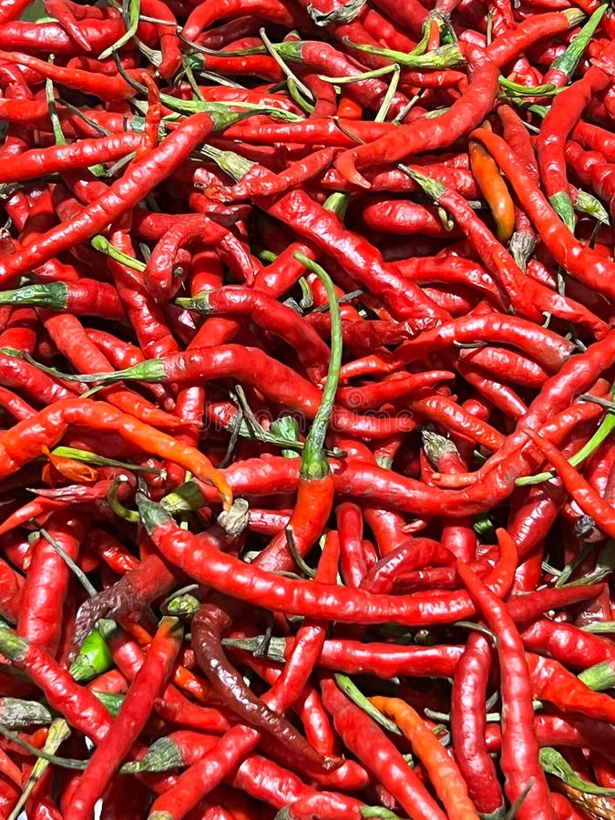 Vertical Shot of a Heap of Red Hot Chili Pepper Stock Photo - Image of ...