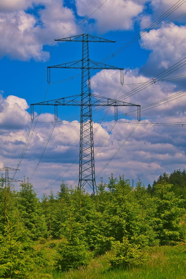 Vertical Shot of a High-voltage Direct Current in the Trees Stock Image ...