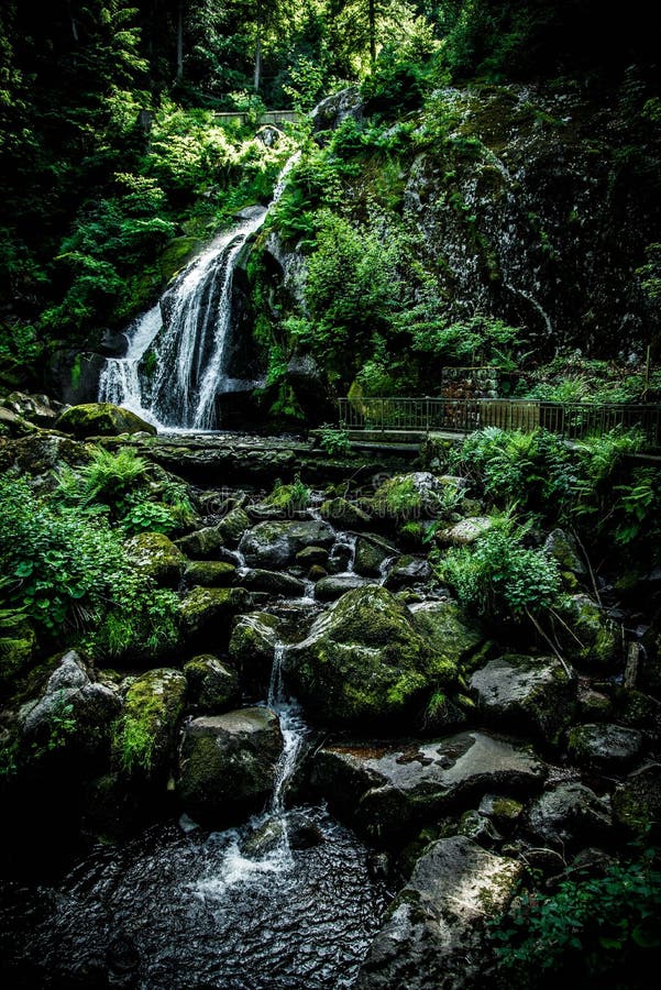 Hijio Stock Photos - Free & Royalty-Free Stock Photos from Dreamstime