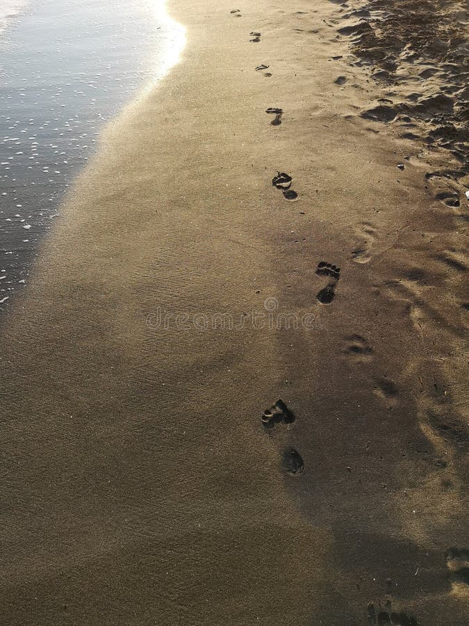 Vertical Shot of Human Footsteps on Dry Sand Near the Beach Stock Photo ...