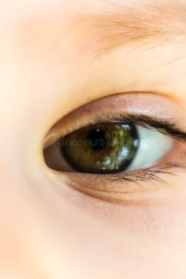 Human eye with green pupil stock image. Image of eyeball - 34597709