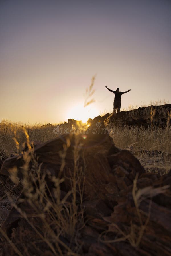 Vertical Shot of a Human Standing before the Sun - Freedom Concept ...
