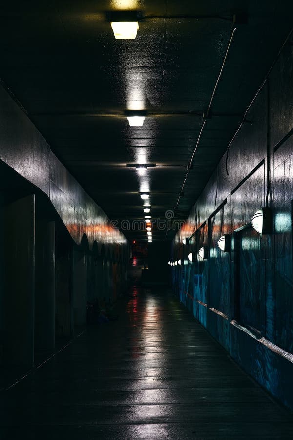 Vertical Shot of an Illuminated Dark Corridor Stock Image - Image of ...