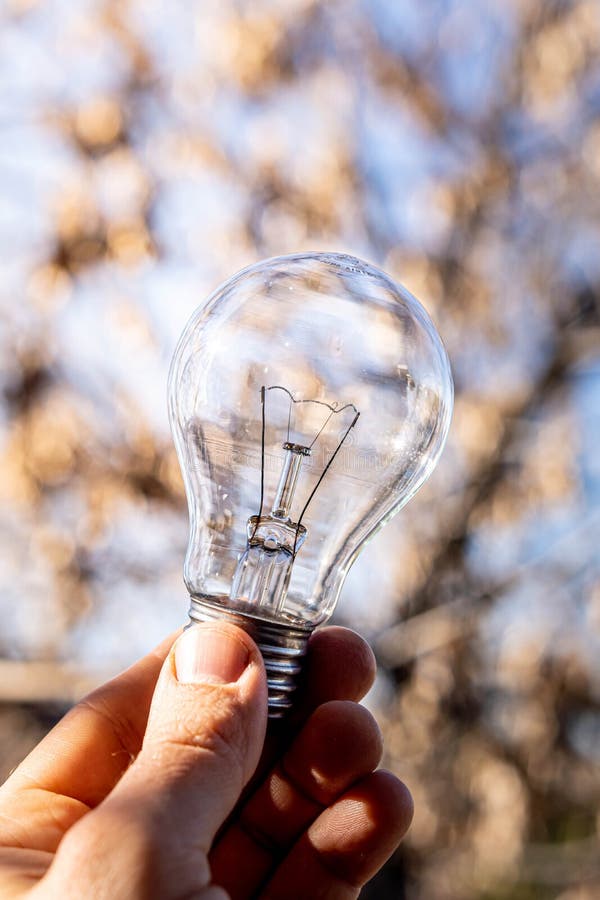 Vertical Shot of an Incandescent Light Bulb on Hand Stock Photo - Image ...