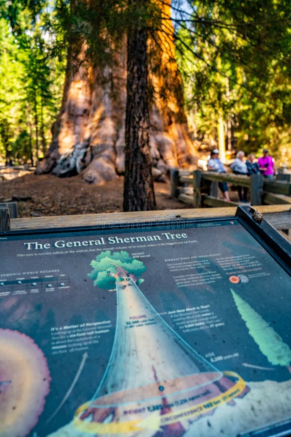 Vertical Shot of Information Sign in the Sequoia National Forest ...