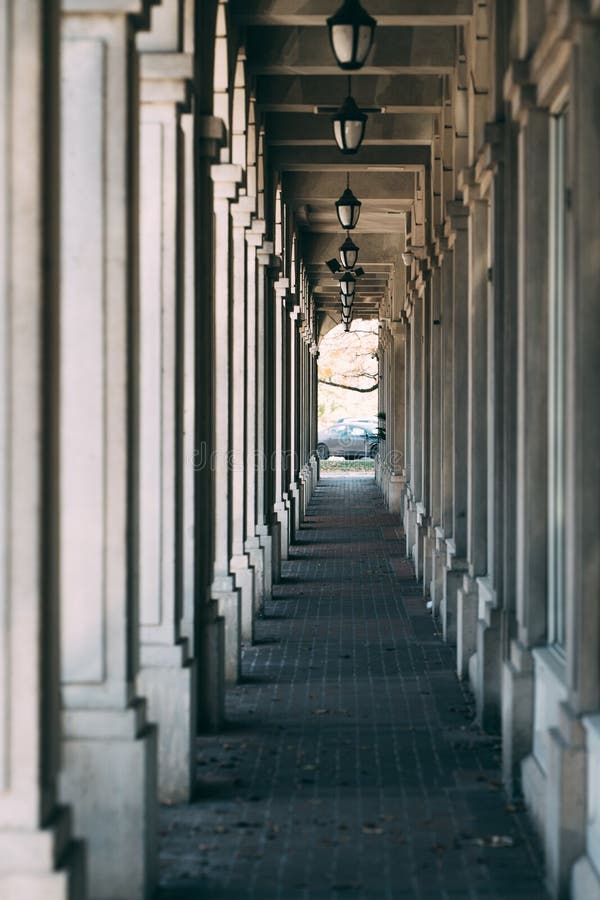 Vertical Shot of the Inside of a Building with a Narrow Walkway between ...