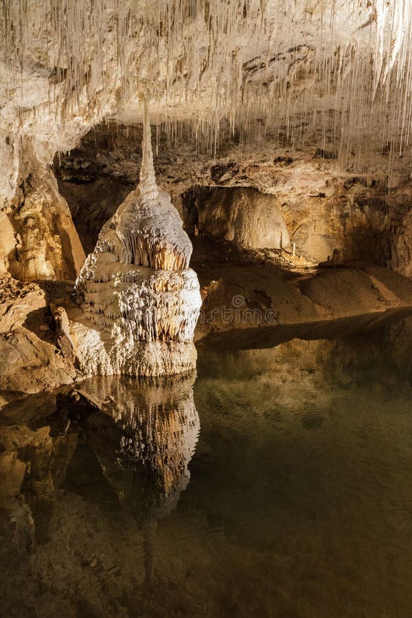 Vertical Shot of the Inside of a Cave with Stalagmites and Stalactites ...