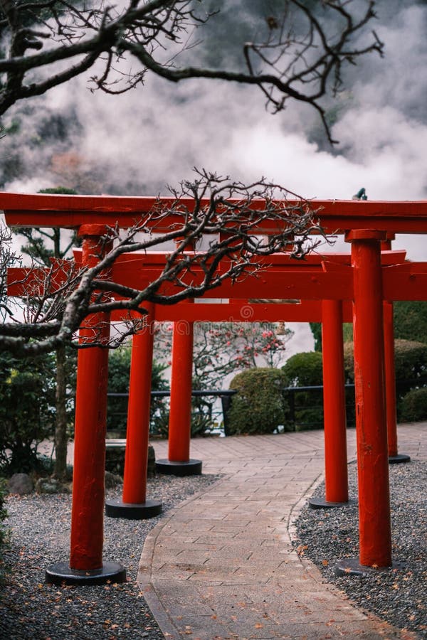 Vertical Shot of Japanese-styled Red Arches in a Park Stock Image ...