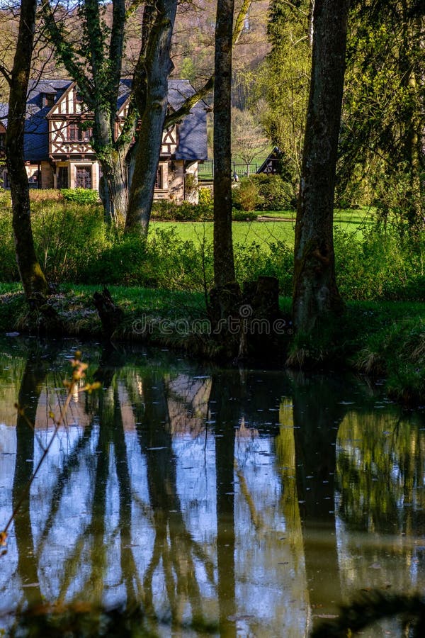 Vertical Shot of a Lake with the Park Reflection on Near Ramholz Castle ...