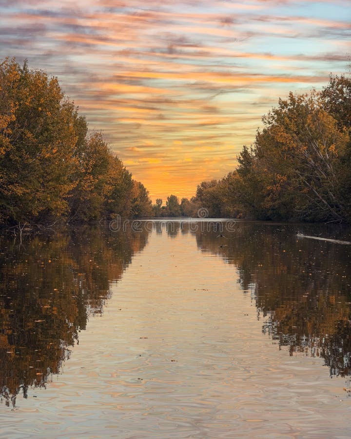 Vertical Shot of a Lake Reflecting the Environment in the Sunset Stock ...