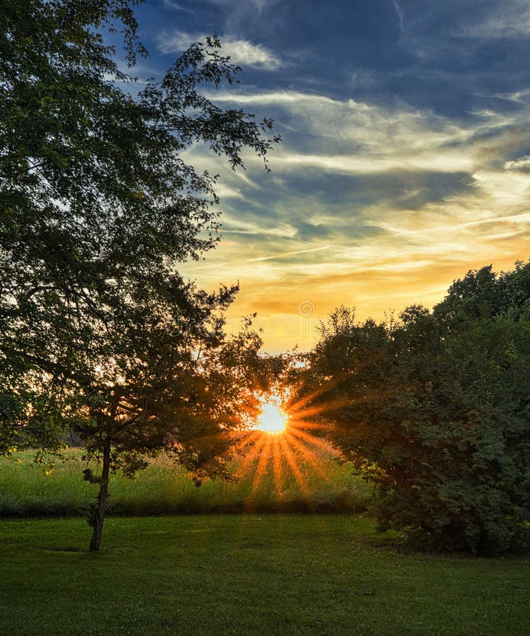 Vertical Shot of Landscape with Green Area, Trees and a Sun Brightly ...