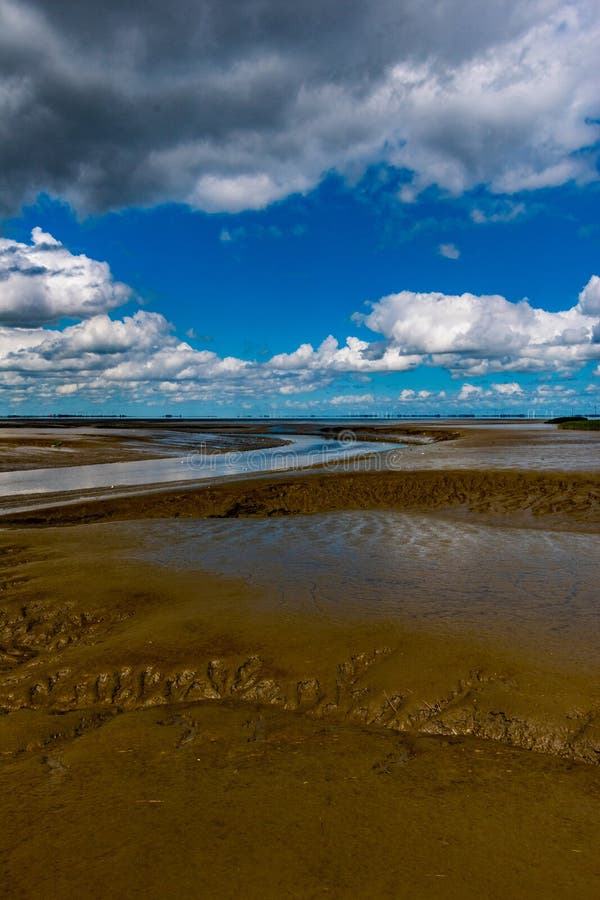 Muddy Brown Oxbow Lake in the Jungle Stock Photo - Image of indonesia ...