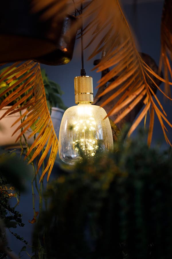 Vertical Shot of a Light Bulb and Some Decorative Plants Hanging from ...