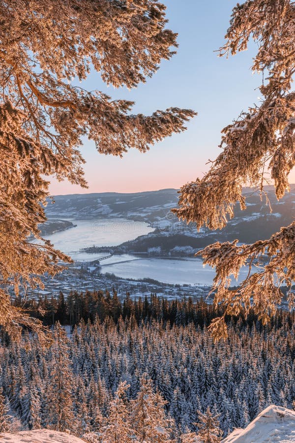 Vertical Shot of the Lillehammer in Norway with Dense Pine Tree Forest ...