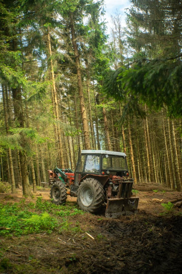 Vertical Shot of a Logging Tractor Parked in a Forest Editorial Stock ...