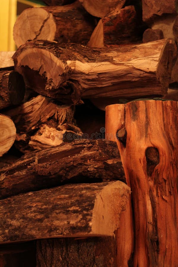 Vertical Shot of Logs of Wood Stock Photo - Image of rough, environment ...