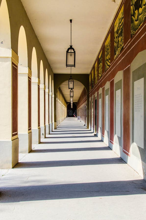 Vertical Shot of a Long Corridor in a Gallery with Sunlight Coming in ...