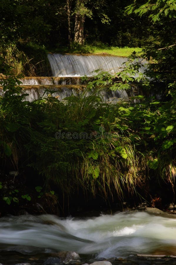 Vertical Shot of a Long Exposure Water Stream Flowing Over Rocks with ...