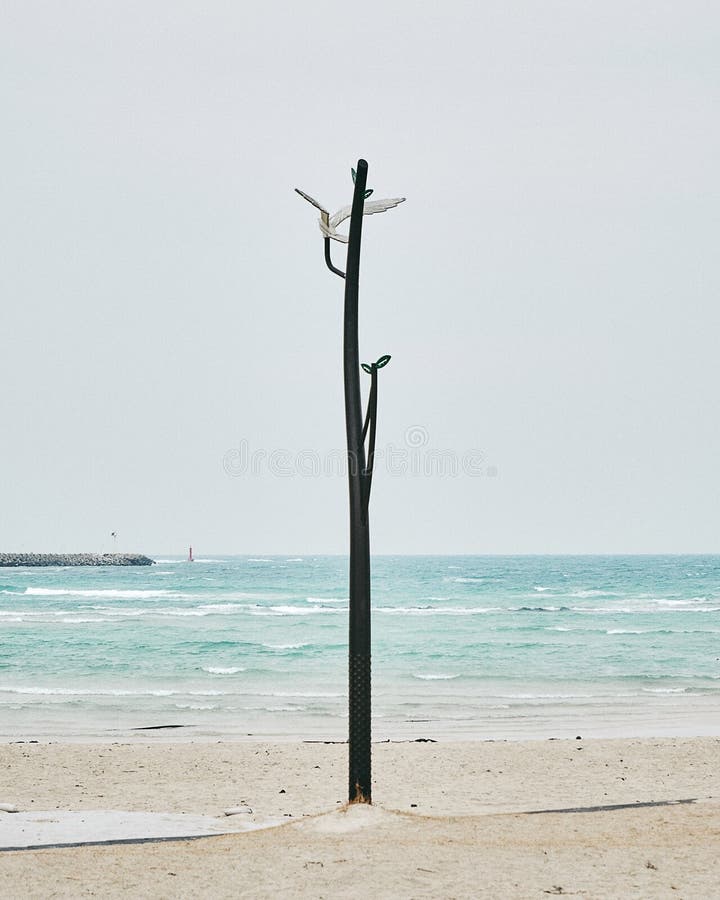 Vertical Shot of a Long Pole on a Beach Stock Photo - Image of water ...
