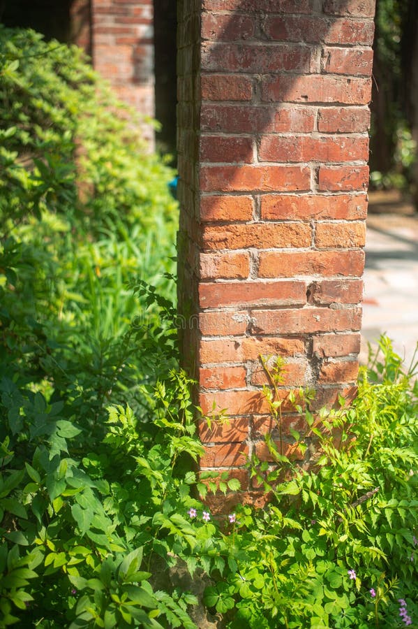 Vertical Shot of Lush Green Plants Growing Around an Old Brick Column ...