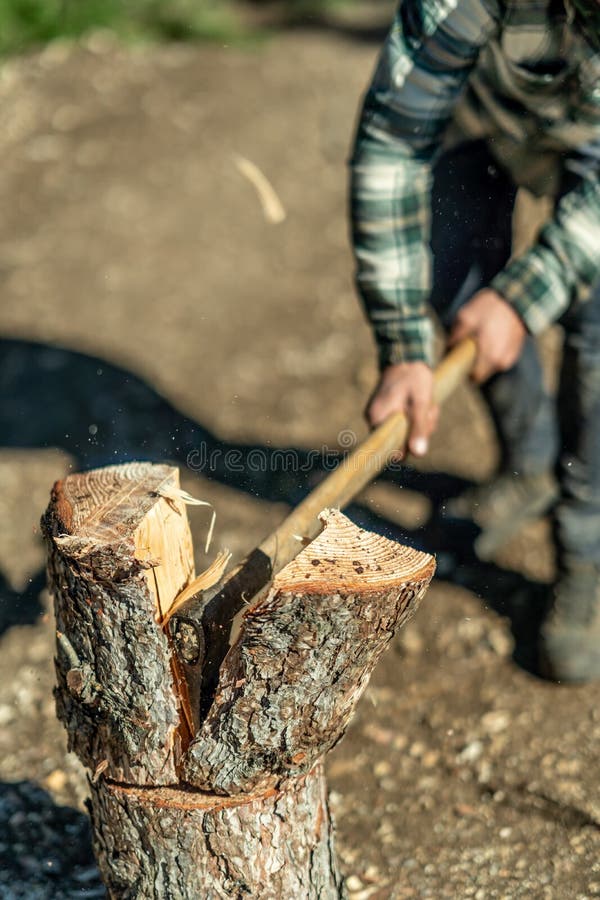 Vertical Shot of Male Hands Cutting a Tree Trunk with an Ax Stock Image ...