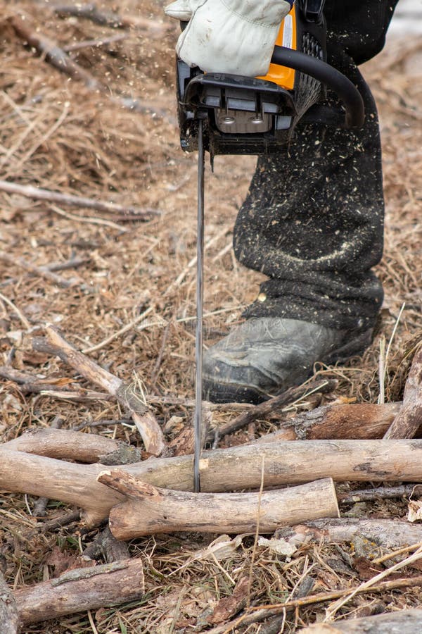 Man Cutting Wood with an Ax during the Daytime Stock Image - Image of ...