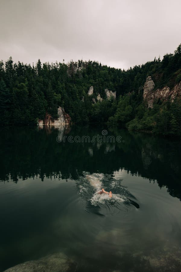 Vertical Shot of a Man Diving into a Lake Surrounded by Trees ...