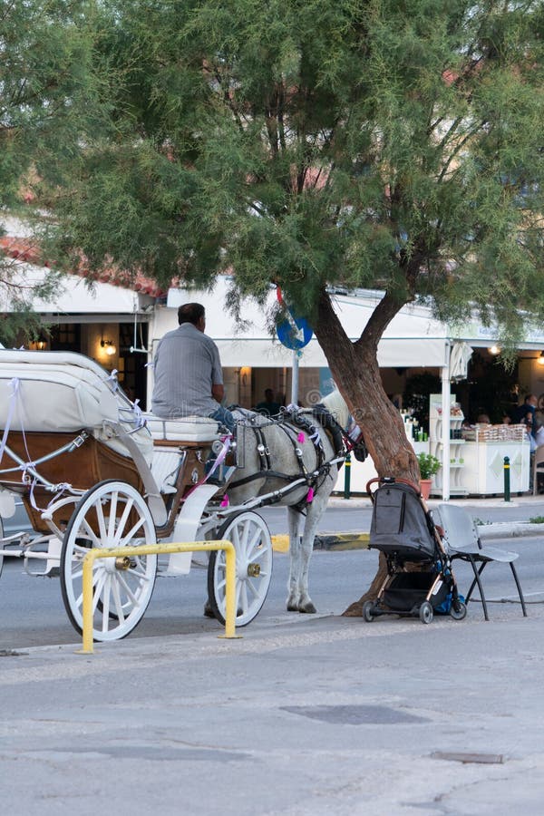 Vertical Shot of a Man Riding a Horse Carriage on Daytime Stock Photo ...