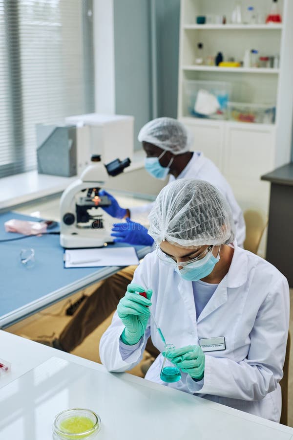 Medical Laboratory with Two Scientists Working on Research Stock Image ... Medical Laboratory with Two Scientists Working on Research Stock Image ...